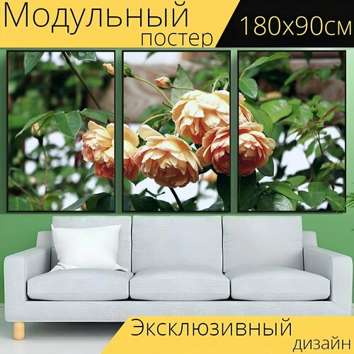 Модульный постер "Розы, расцветает, лепестки" 180 x 90 см. для интерьера