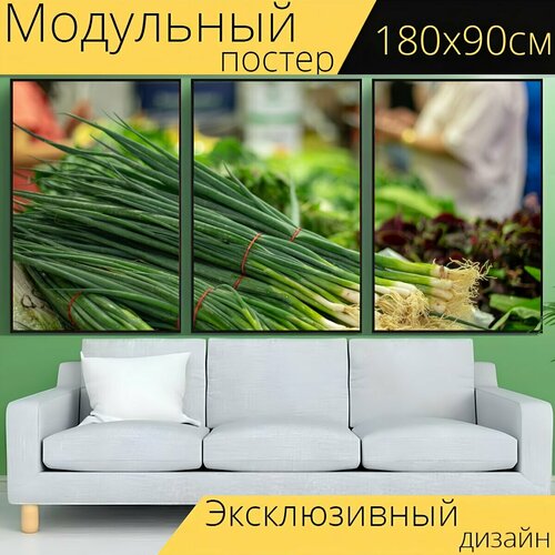Модульный постер "Овощи, зеленый лук, рынок" 180 x 90 см. для интерьера
