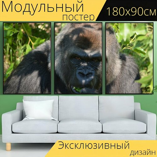 Модульный постер "Горилла, обезьяна, зоопарк" 180 x 90 см. для интерьера