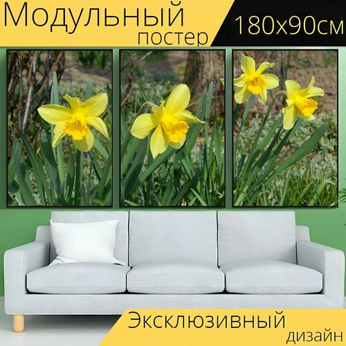Модульный постер "Нарциссы, цветы, весна" 180 x 90 см. для интерьера