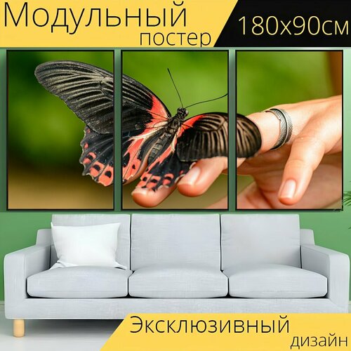 Модульный постер "Бабочка, рука, тропический" 180 x 90 см. для интерьера