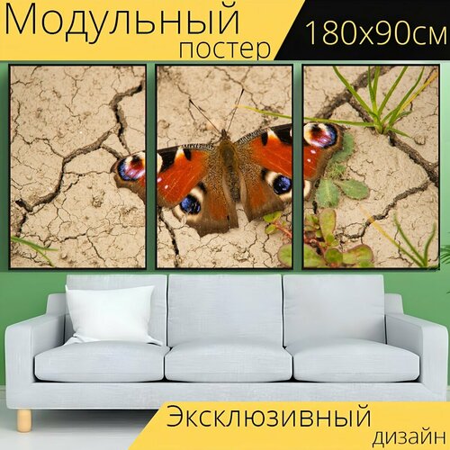 Модульный постер "Бабочка, насекомое, павлинья бабочка" 180 x 90 см. для интерьера