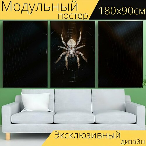 Модульный постер "Природа, паук, сеть" 180 x 90 см. для интерьера