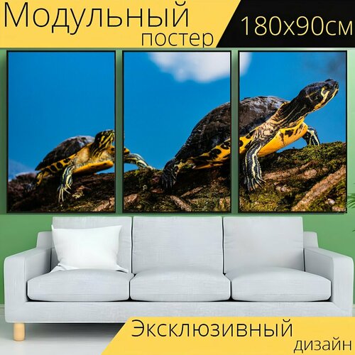 Модульный постер "Черепахи, вода, животные" 180 x 90 см. для интерьера
