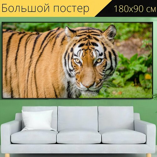 Большой постер "Животное, большой кот, тигр" 180 x 90 см. для интерьера