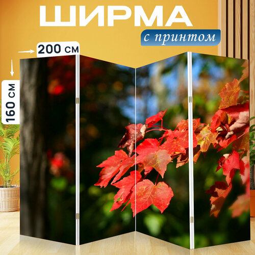 Ширма перегородка с принтом "Кленовые листья, падение, осень" на холсте - 200x160 см. для зонирования, раскладная