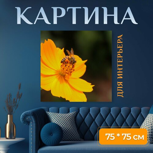 Картина на холсте "Цветок, пчела, апельсин" на подрамнике 75х75 см. для интерьера
