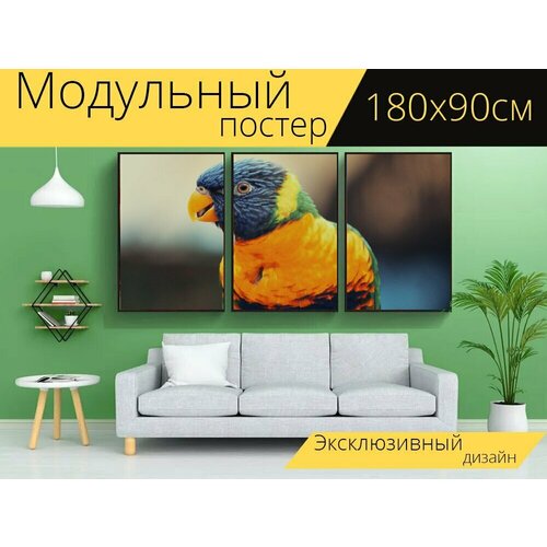 Модульный постер "Мускусный лорикет, попугай, красочный" 180 x 90 см. для интерьера