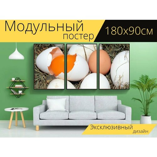 Модульный постер "Яйца, гусиные яйца, куриное яйцо" 180 x 90 см. для интерьера