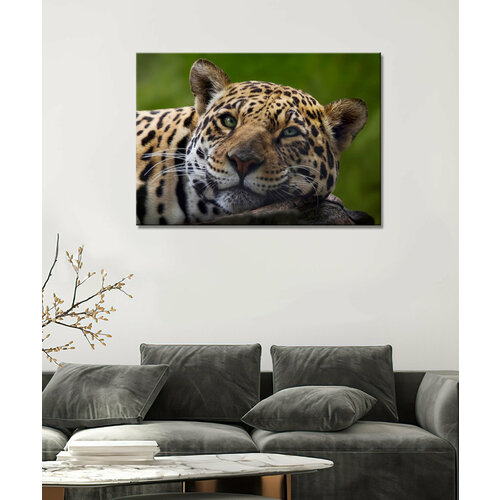 Картина/Ягур/Ягуар в джунглях/Ягуар на дереве/Черный ягуар/ - Ягуар (17) 40х60