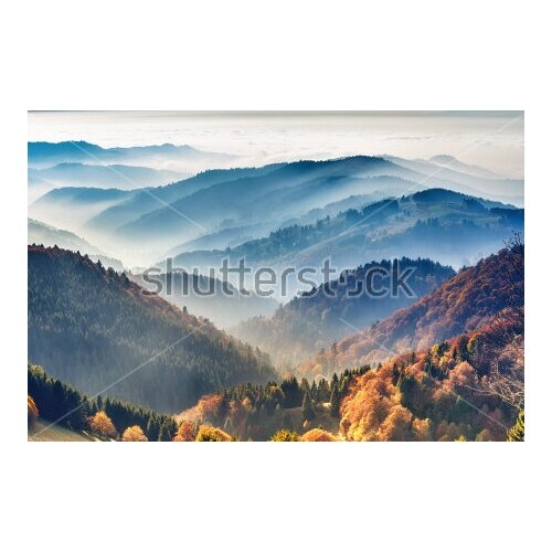 Постер на холсте Прекрасный горный пейзаж с видом на осенний лес в утреннем тумане 75см. x 50см.
