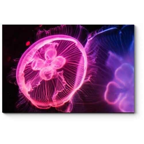 Модульная картина Неоновая медуза 50x33