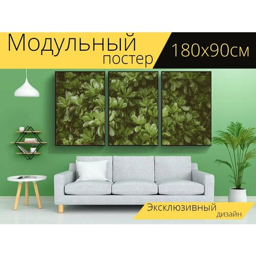 Модульный постер "Завод, зелень, ботаника" 180 x 90 см. для интерьера