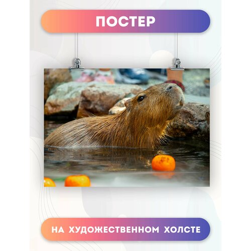 Постер на стену животные капибара animals capybara (10) 60х80 см