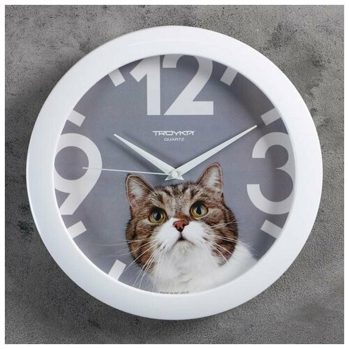 Часы настенные, серия: Животный мир, "Кот", d=29 см, белый обод (комплект из 2 шт)
