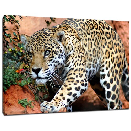 Картина Уютная стена "Взгляд ягуара" 90х60 см