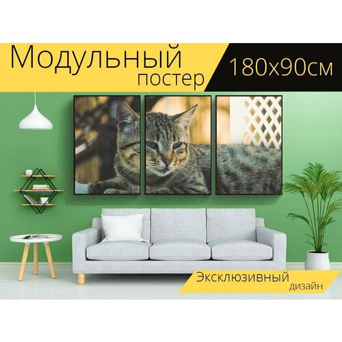 Модульный постер "Кошка, тигр, хищник" 180 x 90 см. для интерьера
