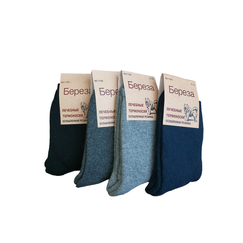 Носки Береза, 4 пары, размер 41-47, черный, синий, серый