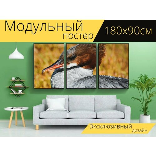 Модульный постер "Крохаль, mergus merganser, утиная птица" 180 x 90 см. для интерьера