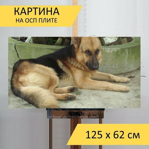 Картина на ОСП 125х62 см. "Собака, пасти, немецкий" горизонтальная, для интерьера, с креплениями