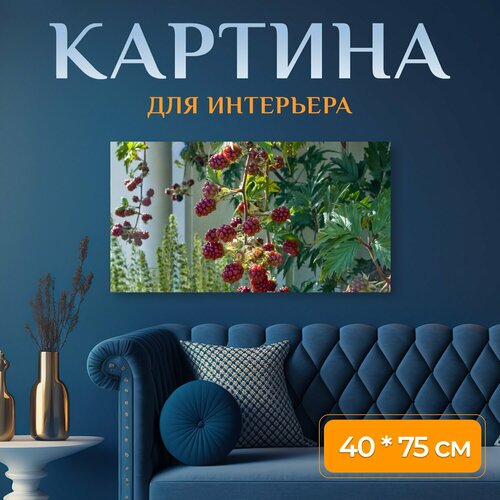 Картина на холсте "Ежевика, красный, ягоды" на подрамнике 75х40 см. для интерьера
