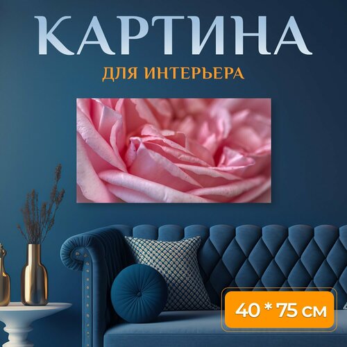 Картина на холсте "Роза, розовый, лепестки" на подрамнике 75х40 см. для интерьера