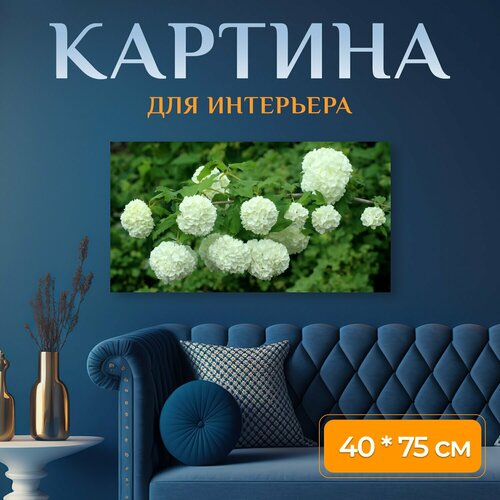 Картина на холсте "Калина, белые цветки, цветущий" на подрамнике 75х40 см. для интерьера
