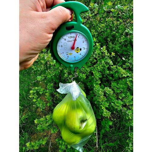 Весы кухонные механические бытовые до 10 кг пластик зеленый