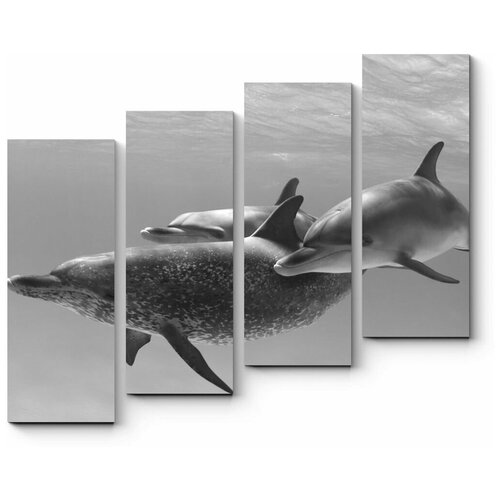 Модульная картина Трио пятнистых дельфинов 80x69