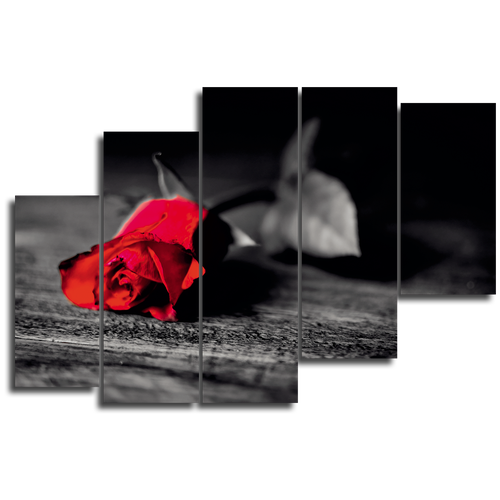 Модульная картина "Роза на черно-белом фоне"