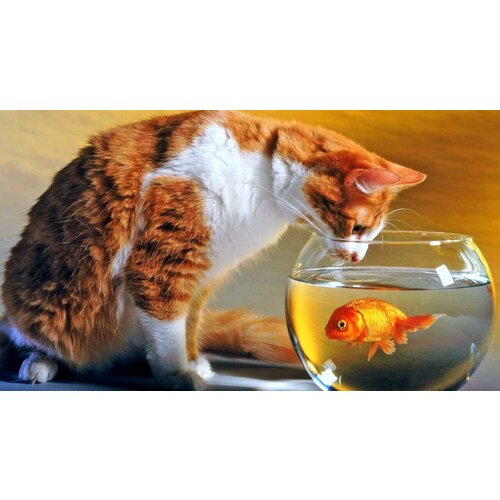 Картина на холсте 60x110 LinxOne "Рыба аквариум кот" интерьерная для дома / на стену / на кухню / с подрамником