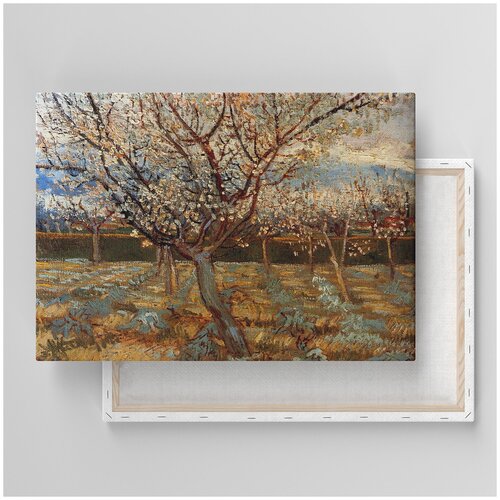 Картина на холсте с подрамником / Van Gogh / Ван Гог - Цветущие абрикосовые деревья