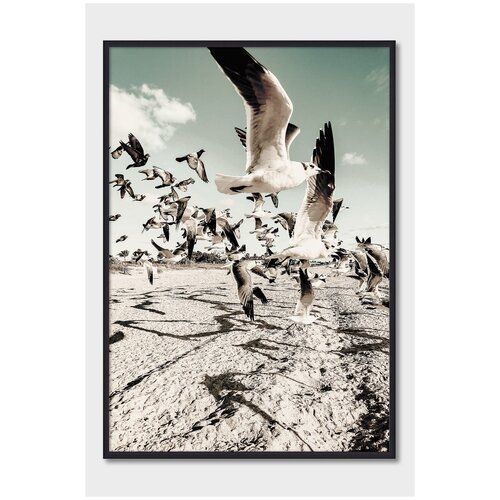 Постер на стену для интерьера Postermarkt Птицы на пляже, постер в черной рамке 40х50 см, постеры картины для интерьера в черной рамке