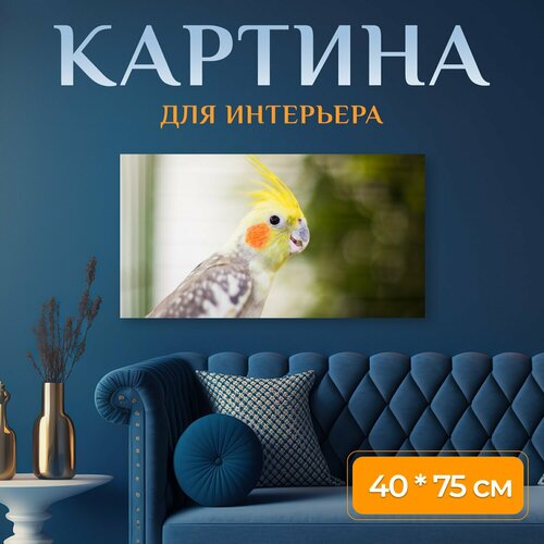 Картина на холсте "Какатуа, птица, попугай" на подрамнике 75х40 см. для интерьера