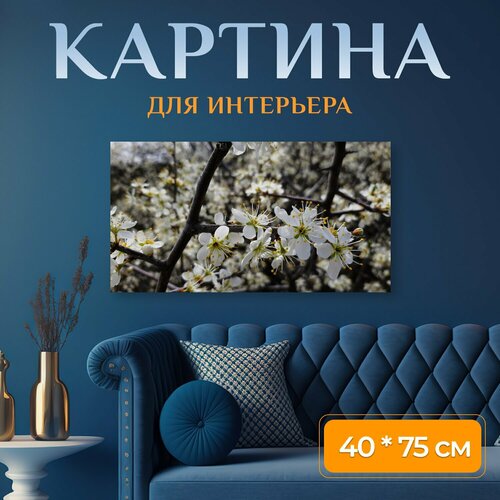 Картина на холсте "Цветение, цветы, белое" на подрамнике 75х40 см. для интерьера