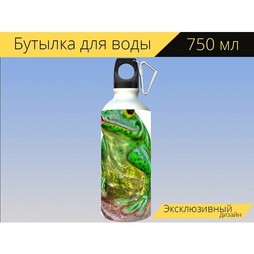 Бутылка фляга для воды "Лягушка, зеленый, фигура" 750 мл. с карабином и принтом