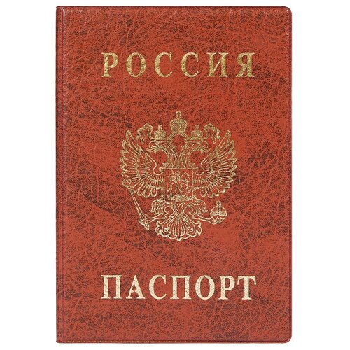 Обложка для паспорта DPSkanc 2203.В-104, коричневый, мультиколор