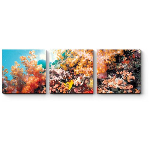 Модульная картина Яркий коралловый мир 70x23