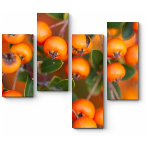 Модульная картина Спелые ягоды рябины 84x79