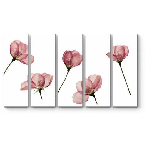 Модульная картина Сухие цветы 170x102