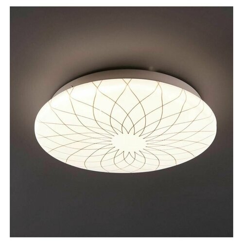 Светильник настенно-потолочный светодиодный Lumin Arte Fler