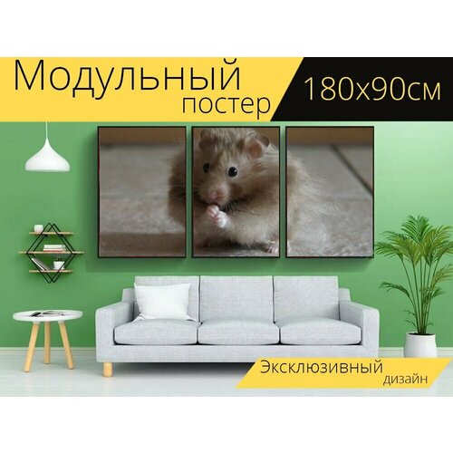 Модульный постер "Хомяк, грызун, животное" 180 x 90 см. для интерьера