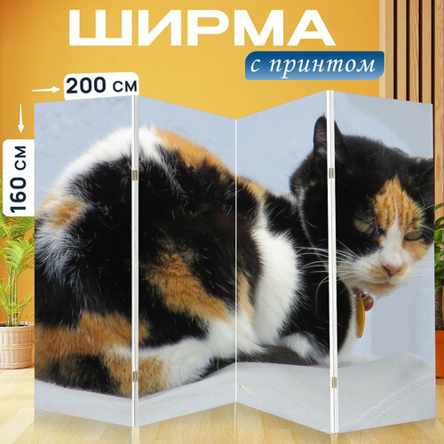Ширма перегородка с принтом "Кошка, ситцевая ткань, кошачий" на холсте - 200x160 см. для зонирования, раскладная