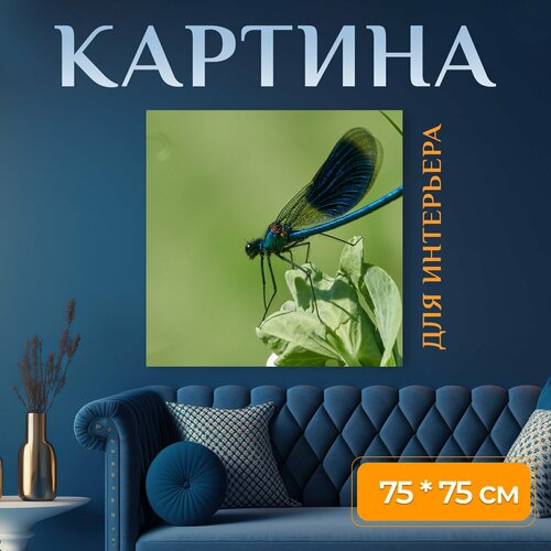 Картина на холсте "Стрекоза, трава, насекомые" на подрамнике 75х75 см. для интерьера