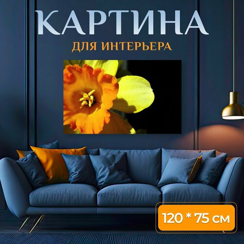 Картина на холсте "Нарциссы, цветы, флора" на подрамнике 120х75 см. для интерьера