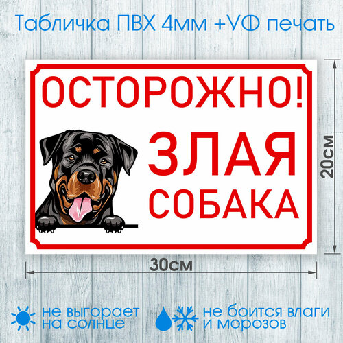 Табличка "осторожно! Злая собака" №003 30х20см (пластик ПВХ, УФ печать, скотч)