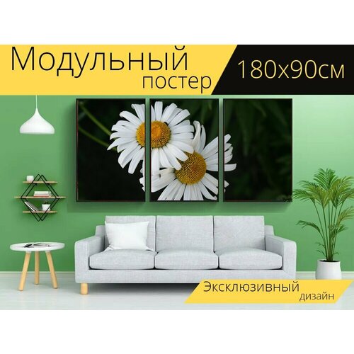 Модульный постер "Цветок, ромашка, ромашки" 180 x 90 см. для интерьера