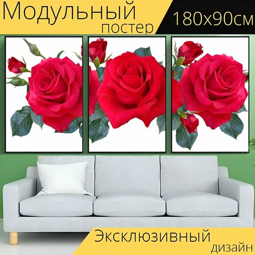 Модульный постер "Розы, красный, ароматный" 180 x 90 см. для интерьера