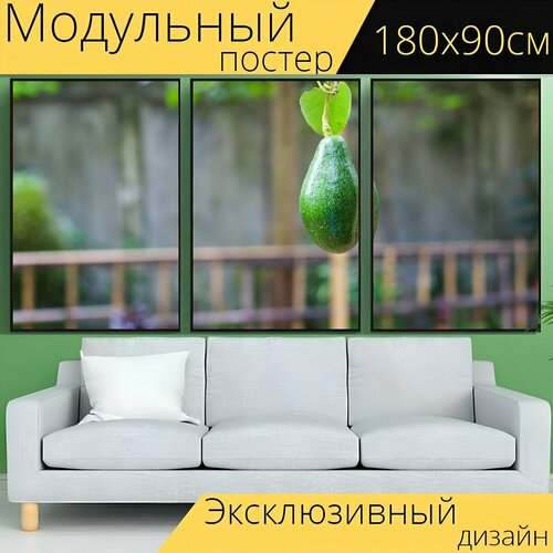 Модульный постер "Зеленый, авокадо, фрукты" 180 x 90 см. для интерьера