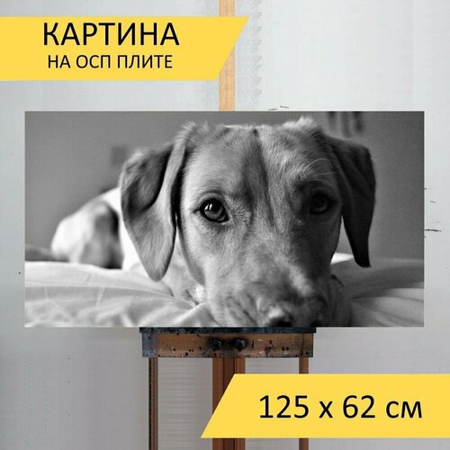 Картина на ОСП 125х62 см. "Собака, домашний питомец, портрет" горизонтальная, для интерьера, с креплениями